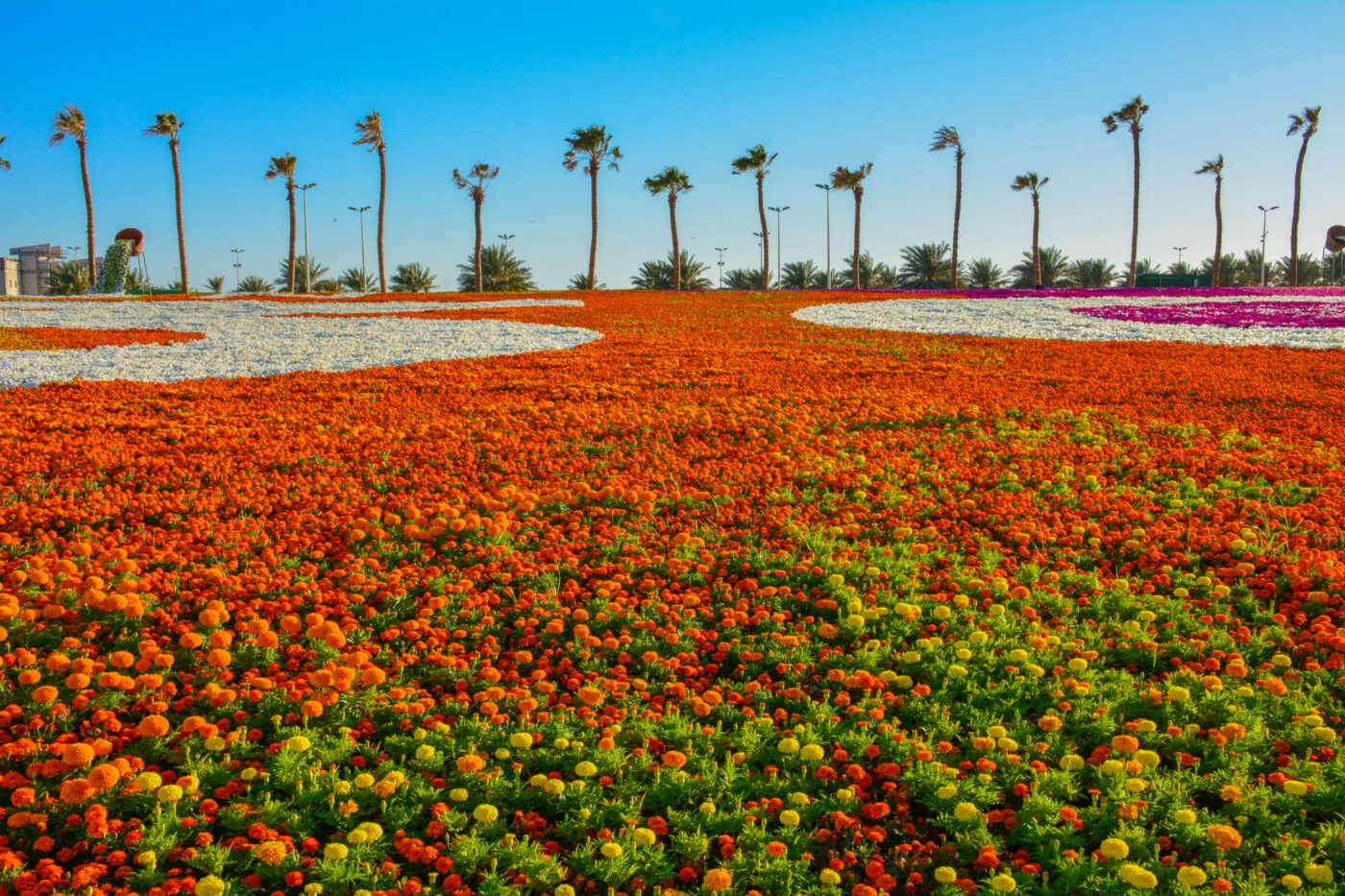 Yanbu | AROYA Cruises