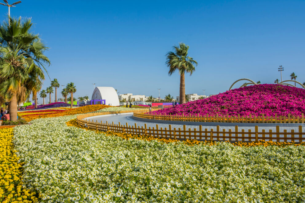 Yanbu | AROYA Cruises