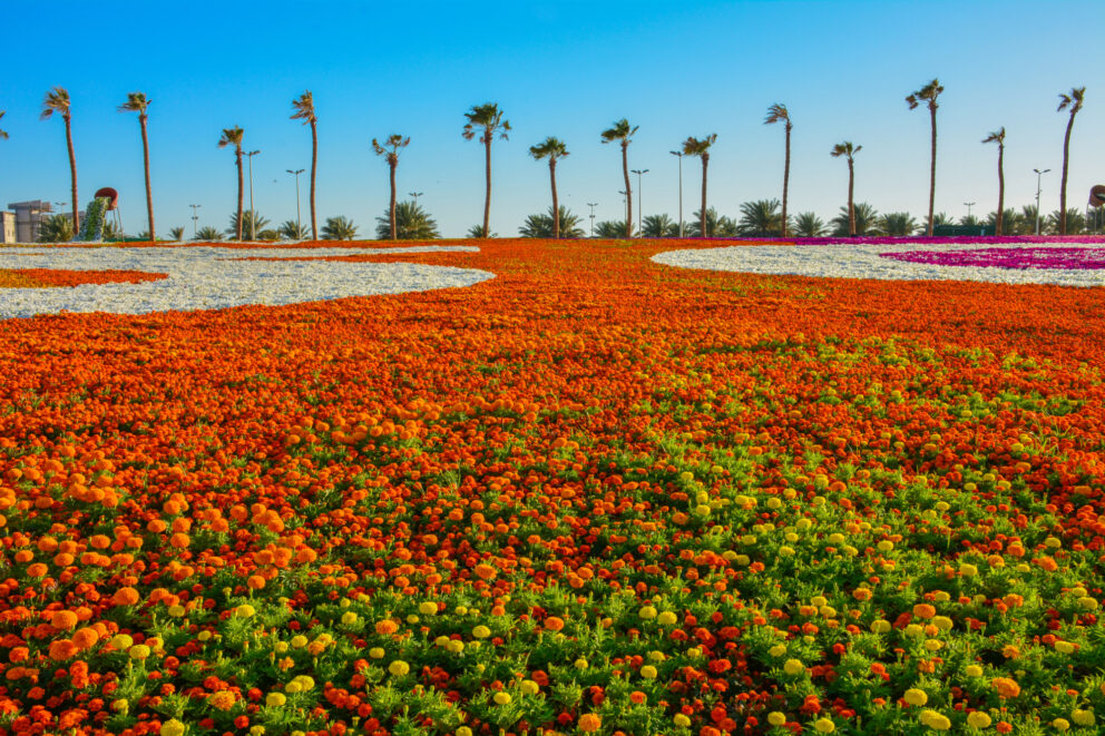 Yanbu | AROYA Cruises