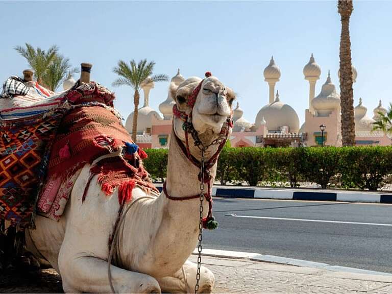 Sharm El Sheikh | AROYA Cruises